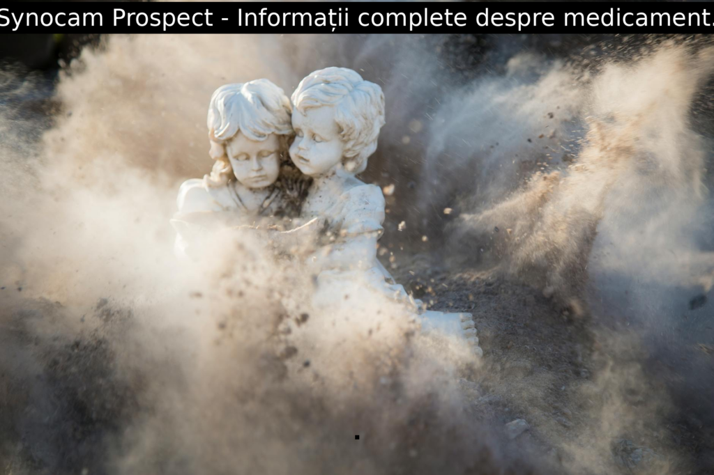 Synocam Prospect - Informații complete despre medicament. - Recomandari ...