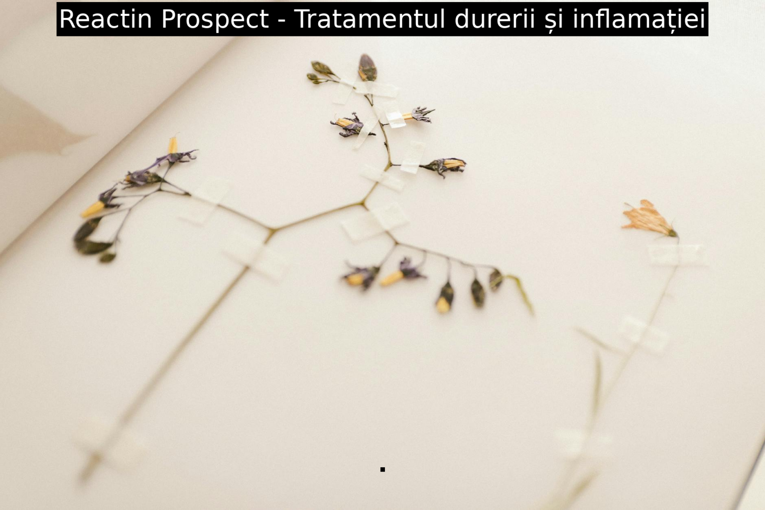 Tot ce trebuie să știți despre Levurin. - Recomandari Medicale