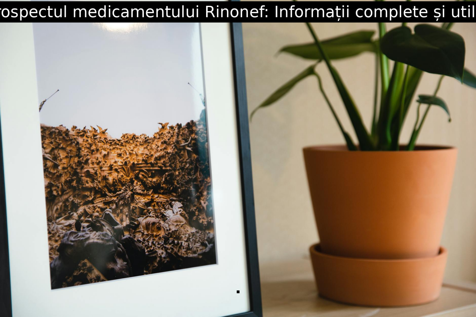 Medicamentul ProCombo - tot ce trebuie să știți. - Recomandari Medicale